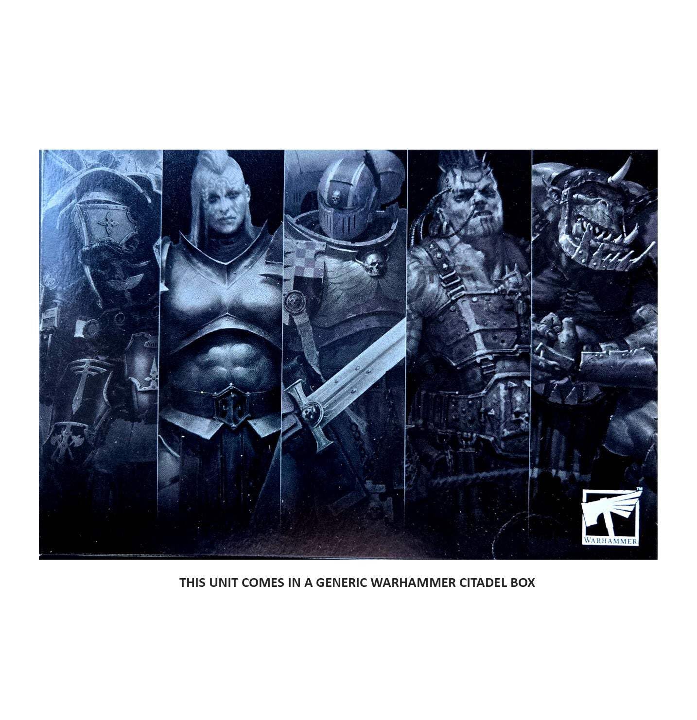 Games Workshop Warhammer Dark Elf Lord on Black Dragon