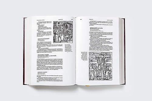 Biblia Católica, Ilustrada, Piel genuina, Café, Comfort Print (Spanish Edition)