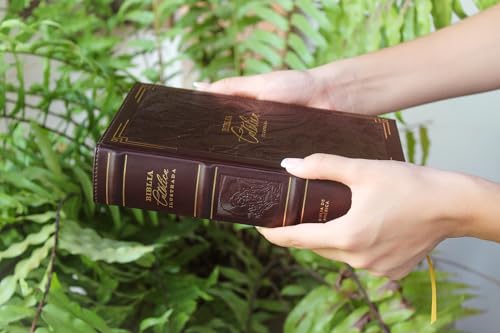 Biblia Católica, Ilustrada, Piel genuina, Café, Comfort Print (Spanish Edition)