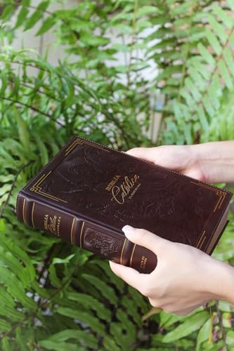 Biblia Católica, Ilustrada, Piel genuina, Café, Comfort Print (Spanish Edition)