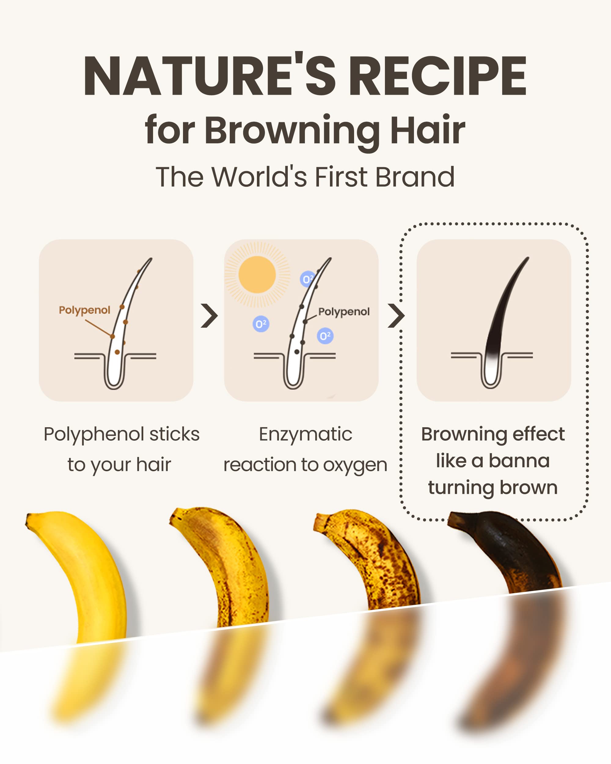 MODA Pro-Change Black Shampoo | Korean Hair Darkening, Volumizing & Anti-Hair Fall Shampoo | Paraben & Sulfate Free, Natural Formula for Thicker, Fuller Hair (10.5 oz)