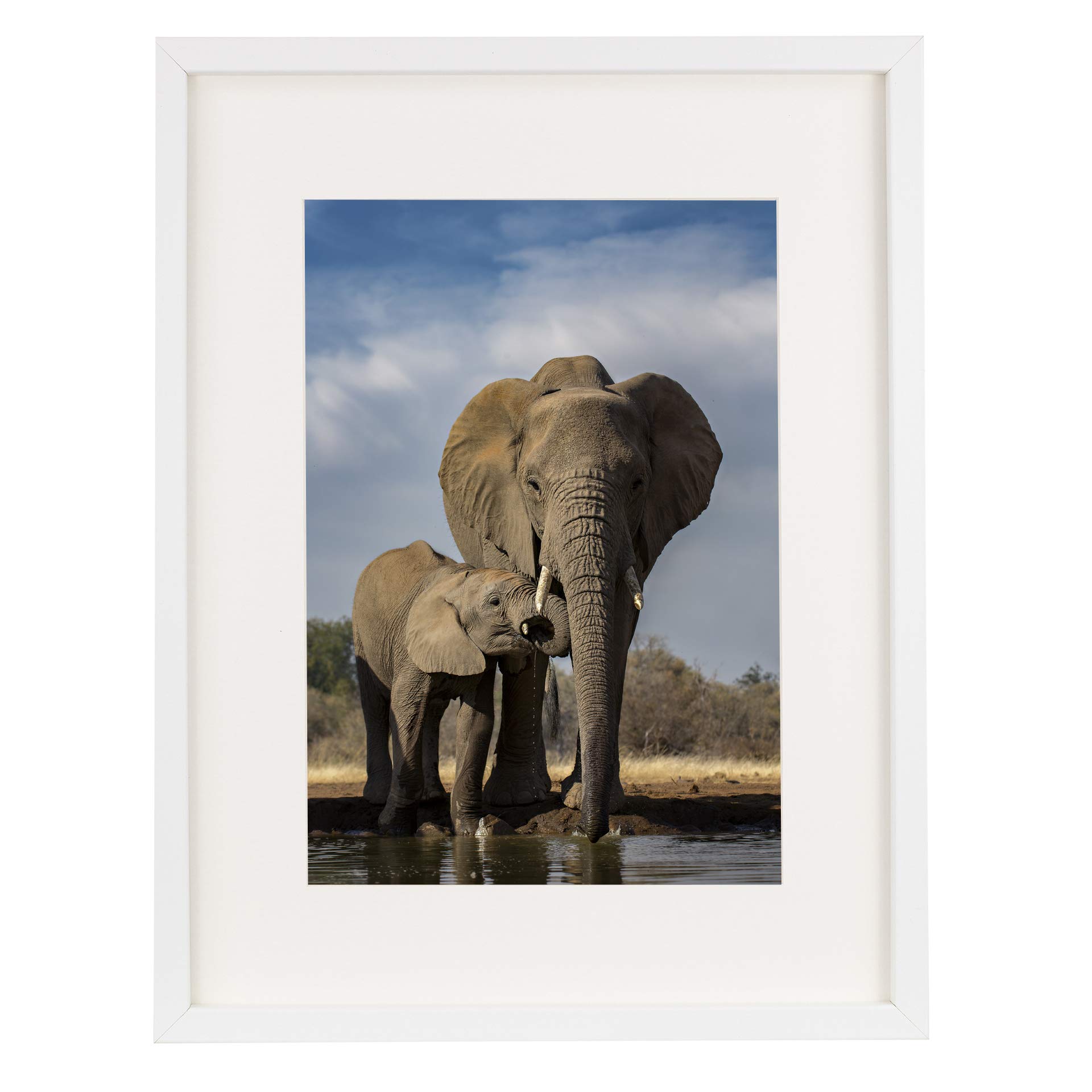 BD ART 12x16 White Picture Frame Made of Wood and High Definition Glass Display Pictures 8x12 with Mat or 12x16 Without Mat - Vertical and Horizontal Wall Mounting