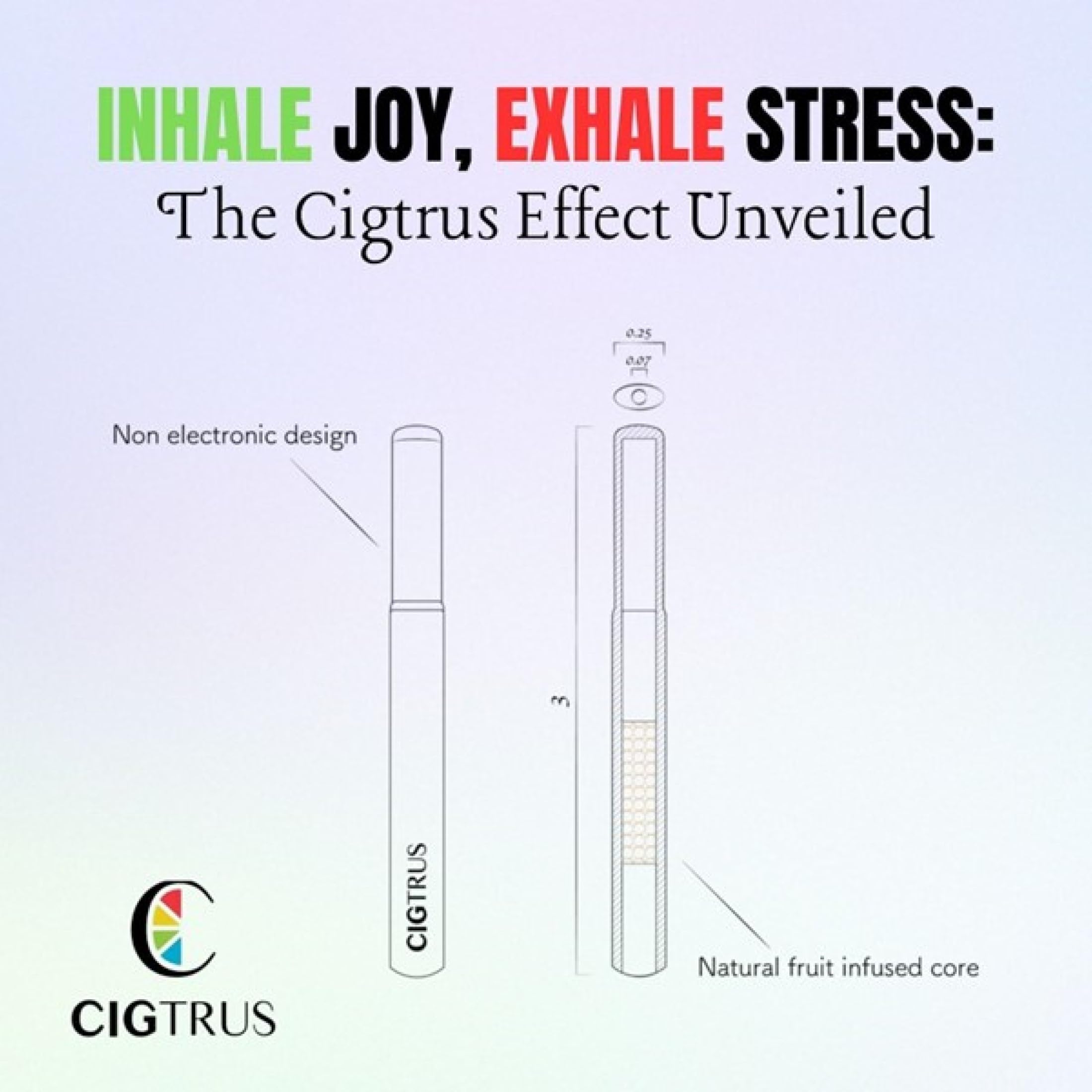 Natural Nicotine-Free & Tobacco-Free Smoking Alternative - Non-Electric Craving Relief, Quit Smoking Aid with Cigtrus (Fresh Spearmint)