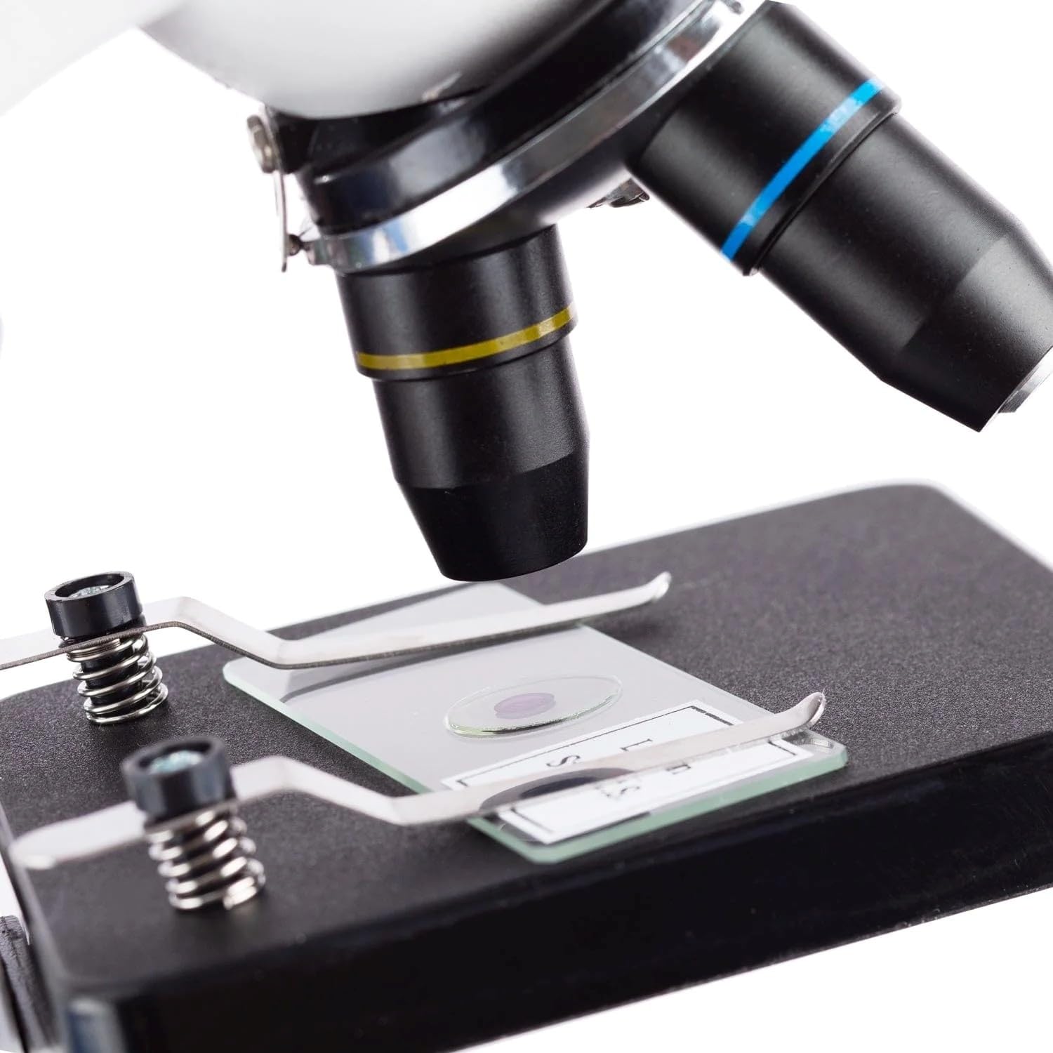 IQCrew Science Discovery Set with 20X Stereo Microscope and 1000X Compound Microscope for Kids and Students