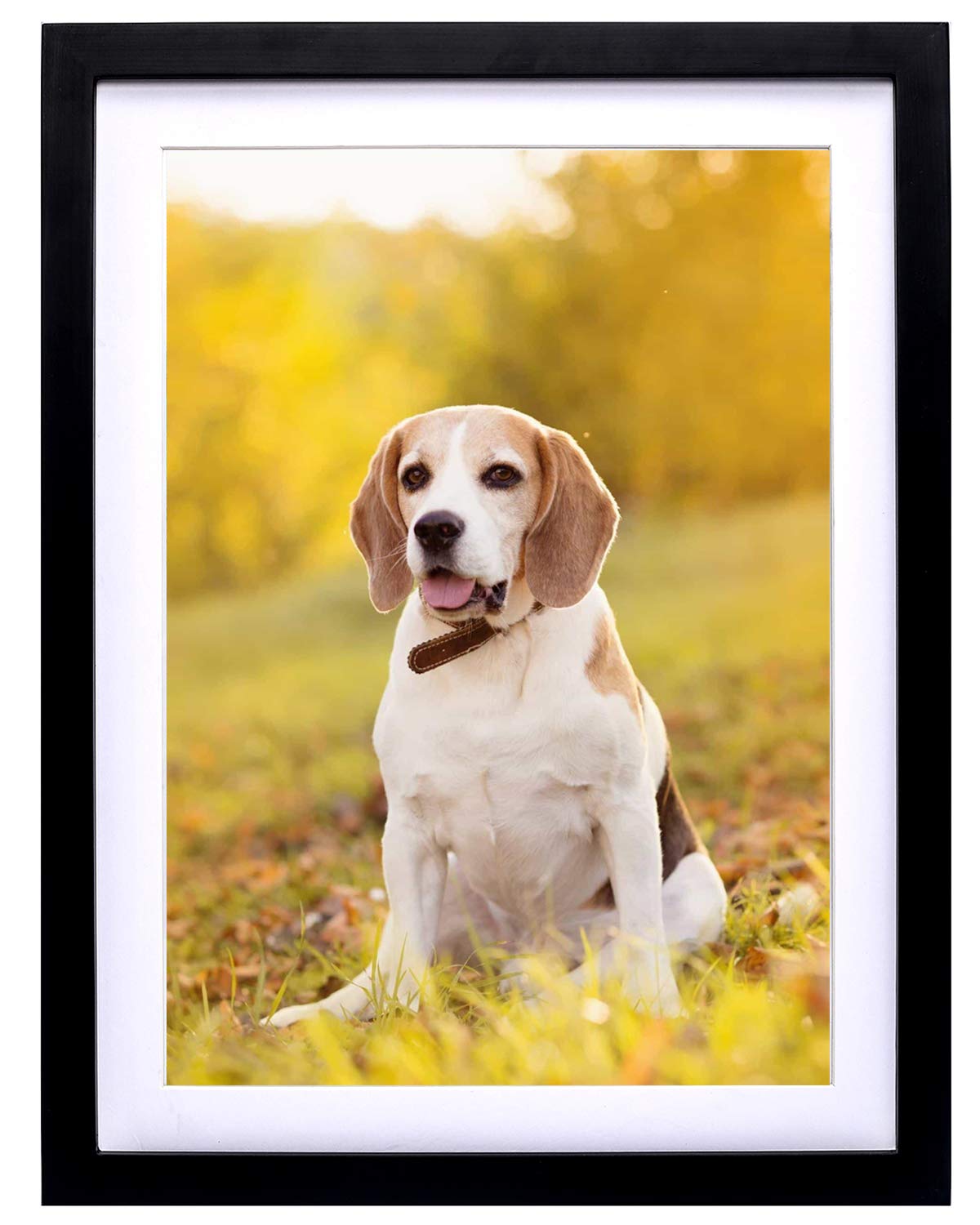 IOOSTAR 12x16 Diamond Painting Picture Frame Display Pictures 10 x 14 inch/25x35 cm with Mat or 12 x 16 inch/30x40 cm Without Mat Photo Frames Diamond Art Frame Natural Solid Wood Black (YNCK002)