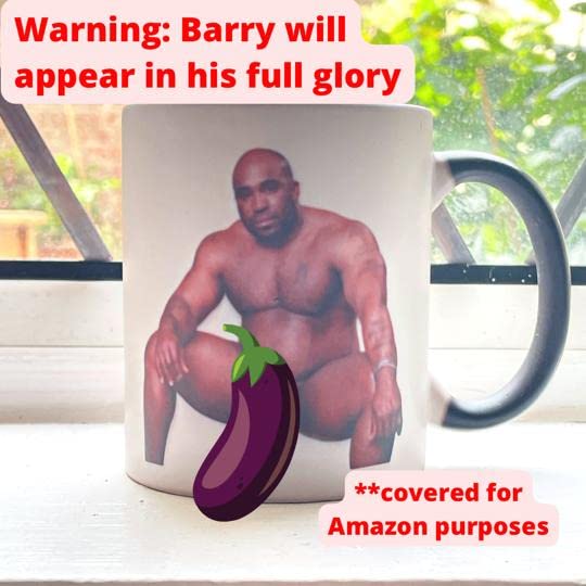 Barry Wood Sitting On Bed Meme Mug - Funny Rude Mug - Message Appears as it Heats - Perfect Novelty Gag Gift - Office Joke
