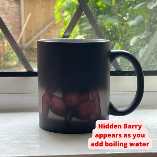 Barry Wood Sitting On Bed Meme Mug - Funny Rude Mug - Message Appears as it Heats - Perfect Novelty Gag Gift - Office Joke