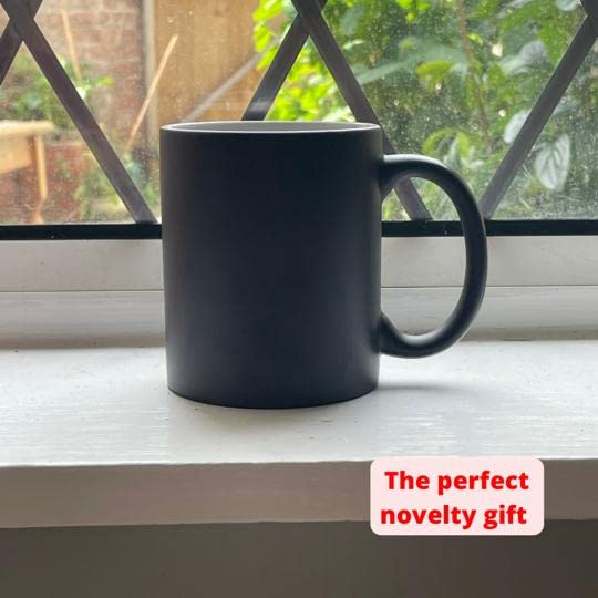 Barry Wood Sitting On Bed Meme Mug - Funny Rude Mug - Message Appears as it Heats - Perfect Novelty Gag Gift - Office Joke