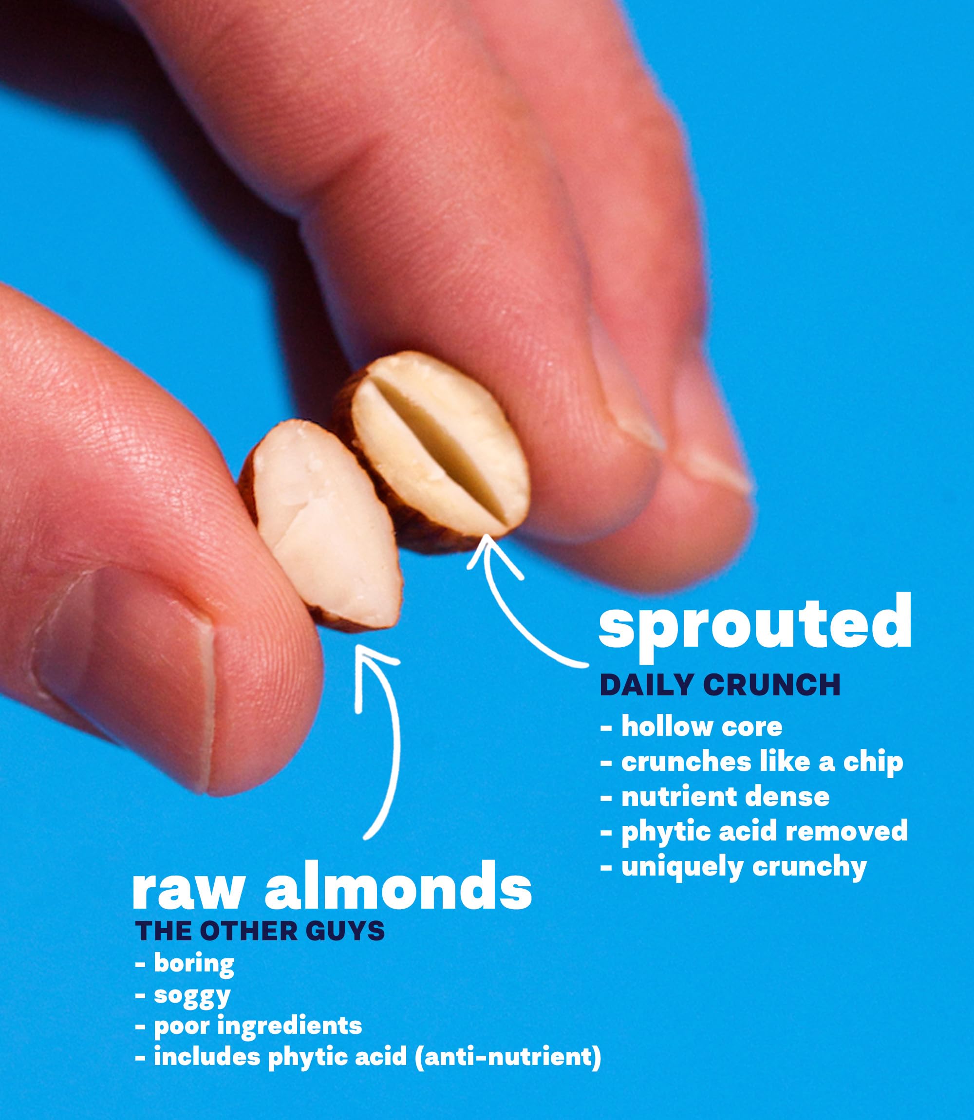 Daily Crunch Sprouted Almonds, 1.5 Ounce Mini, On-The-Go Bags (Variety Pack, 5 Pack) Contains: Original Sprouted, Cherry Berry, Golden Goodness, Cacao and Sea Salt, Coffee Coconut