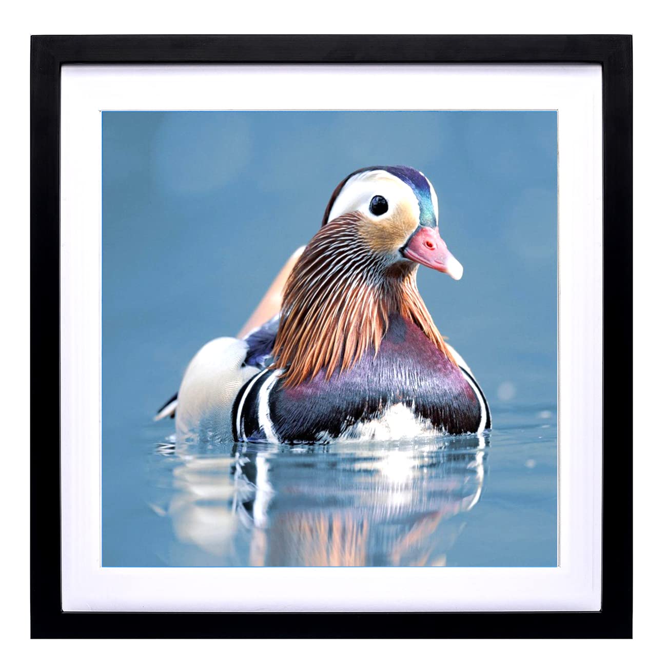 ZZFQXZ 18x18inch Diamond Painting Frame for Diamond Art Painting 16x16inch Display Pictures 16x16inch/40x40cm With Mat or 18x18inch/45x45 cm Without Mat , Wood Square Wall Photo Frame Black (ZK007)