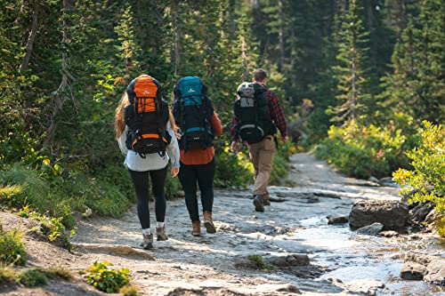 TETON 65L Scout Internal Frame Backpack for Hiking, Camping, Backpacking, Rain Cover Included