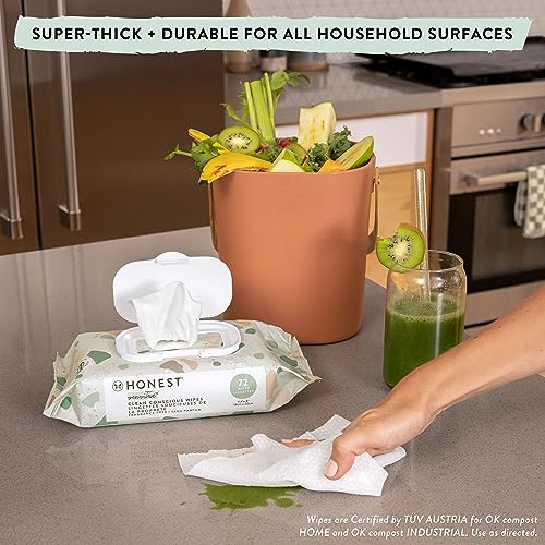 The Honest Company Clean Conscious Multi-Use Wipes | Hypoallergenic + Unscented for Sensitive Skin | Over 99% Water, Compostable, Plant Based, Baby Wipes | Geo Mood, 60 Count