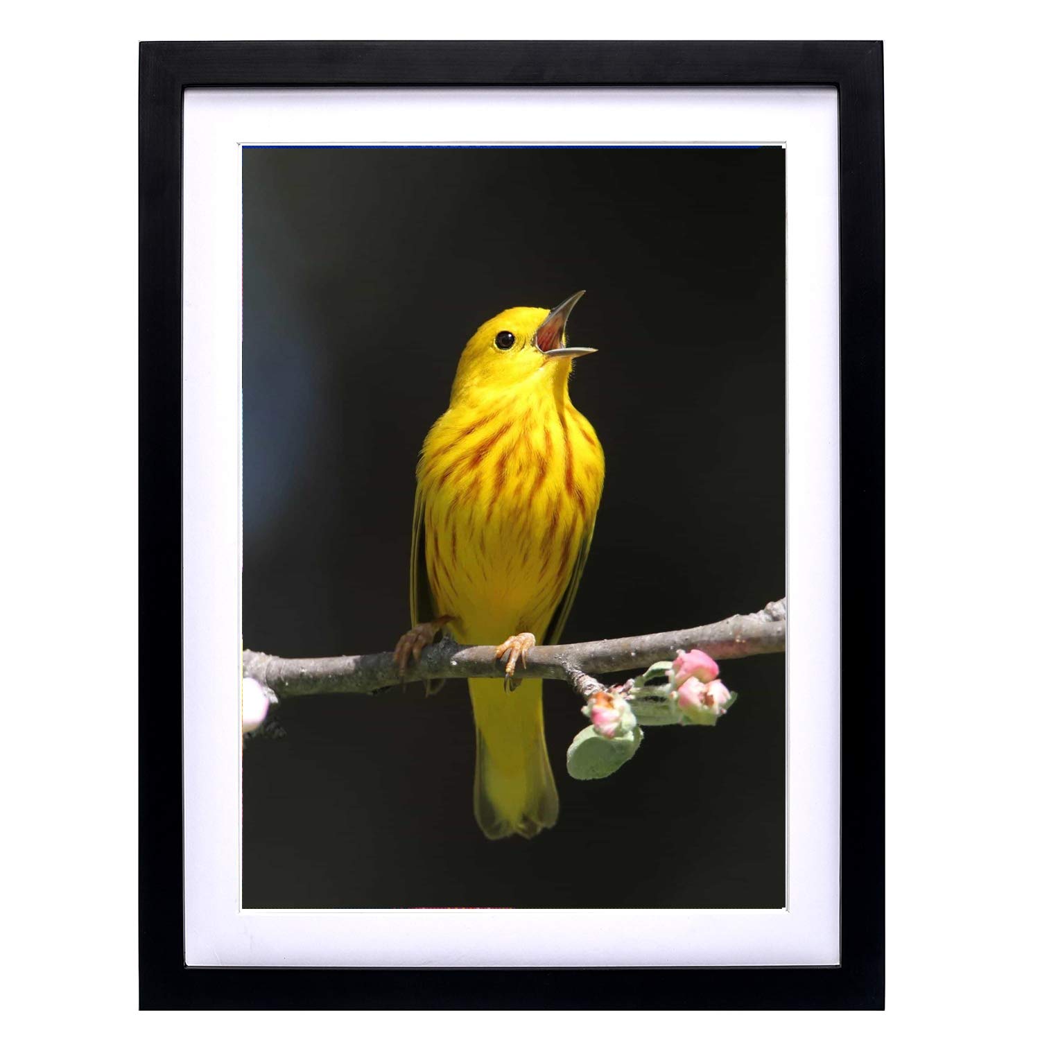 WKDP 12x16inch Frames for Diamond Painting Picture 30x40cm Diamond Art Frame 10x14inch/25x35cm with Mat or 12x16inch/30x40cm Canvas Size without Mat, Poster Frame Photo Frame Wood Frame Black (FK002)