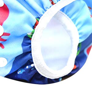 wegreeco Baby & Toddler Snap One Size Adjustable Reusable Baby Swim Diaper (Sea-Elves, Large, 3 Pack)