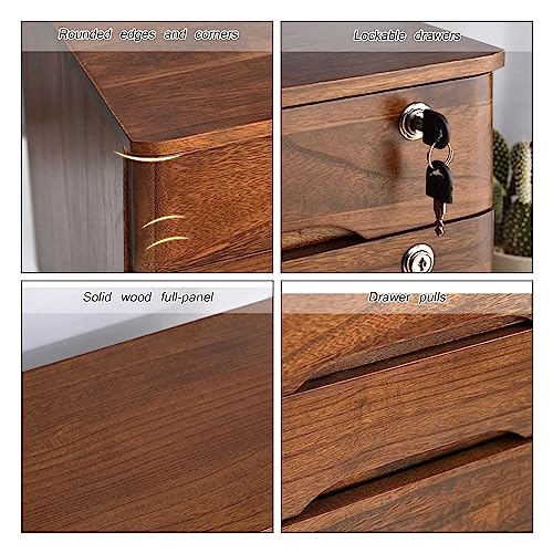 JAEFIT Solid Wood Storage Box - Flat File Cabinet, Wooden Desktop Storage Box with Lockable Drawers, Office Supplies A4/Receipt File Organizer (Size : 4 Layer)