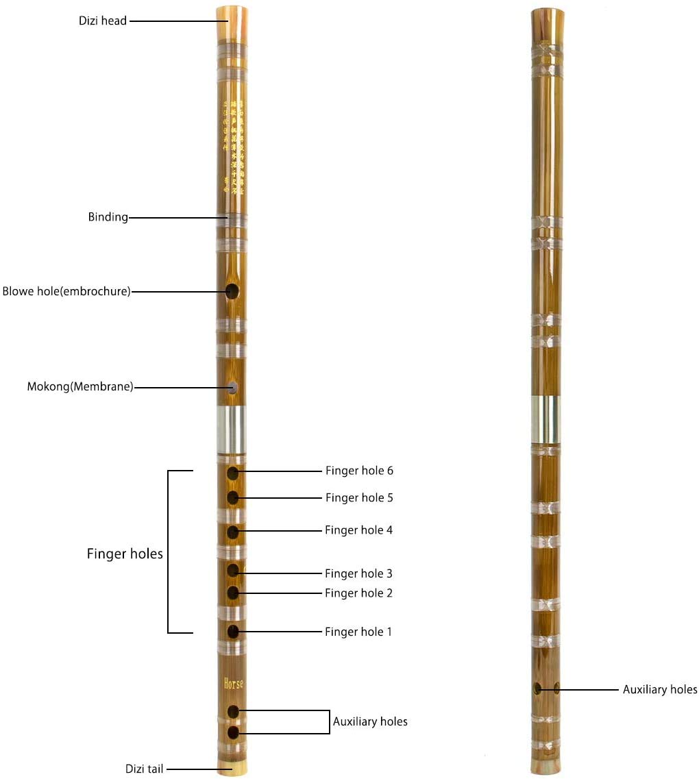Jiayouy Bamboo Flute G Key Dizi Pluggable Handmade Traditional Chinese Instrument with Bamboo Membrane & Velvet Bag