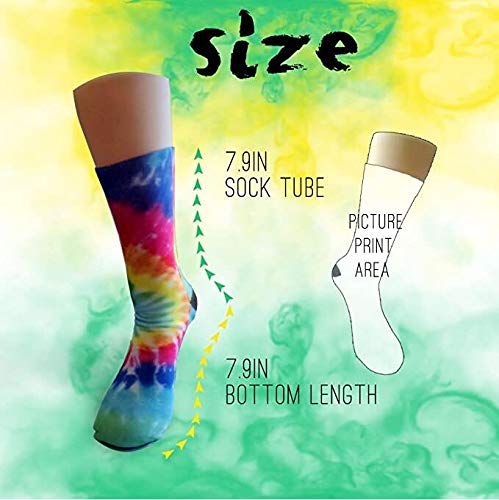 Great Pyrenees Pizza Funny Athletic Socks Best Socks for Women and Men Running Travel