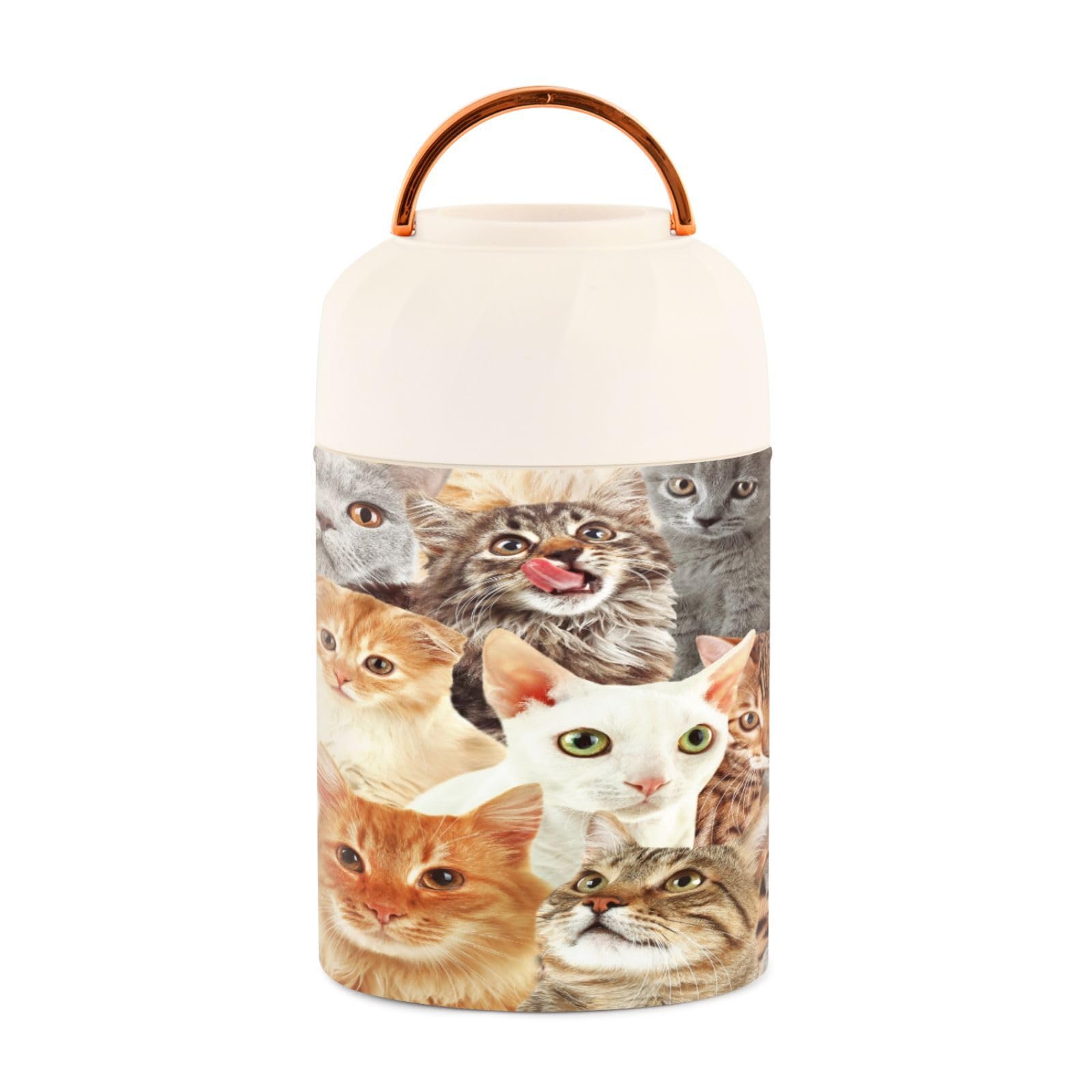 CUPADA Cat Cute Colorful Food Jar, Summer Pets Lovely Insulated Hot Food Jars Vacuum 17OZ with Folding Spoon for Work Trip Picnic Camping