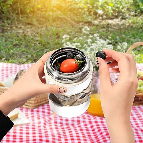 CUPADA Cat Torn Paper Food Jar, Funny 3d Insulated Hot Food Jars Vacuum 17OZ with Folding Spoon for Work Trip Picnic Camping