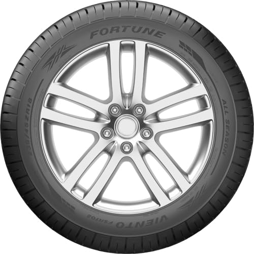 Fortune Viento FSR702 High Performance Radial Tire-245/45R18 100Y XL