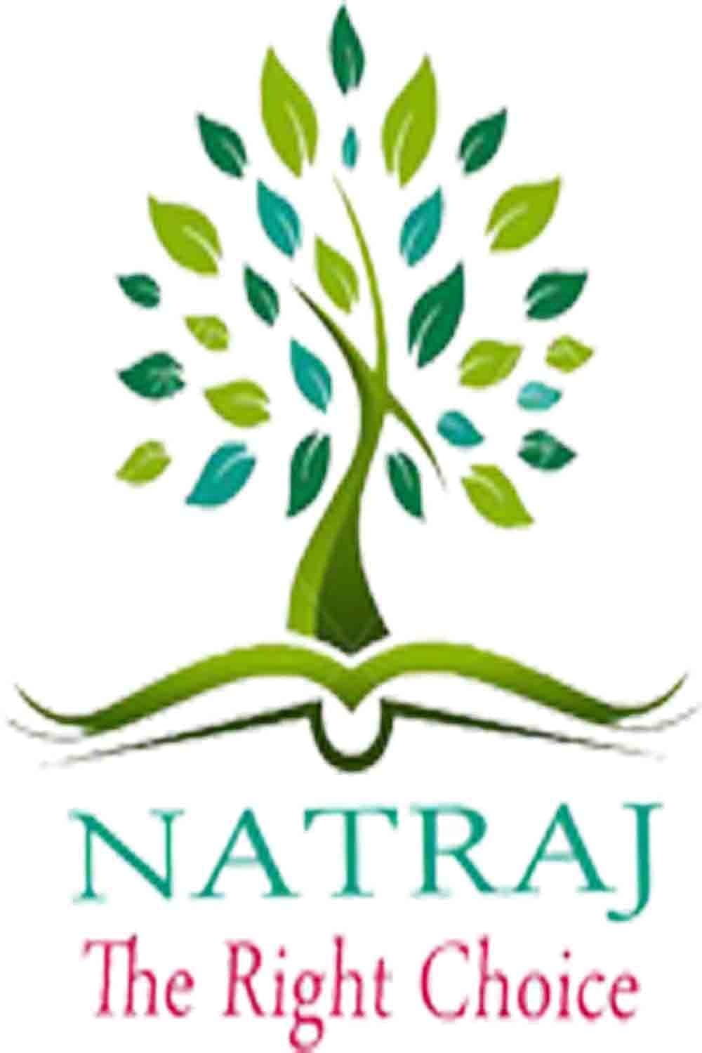 Natraj The Right Choice Amritsari PUNJABI Moong Dal Wadi/Badi/Mung Mangodi|Mangori|Punjabi Wadiyan |Sun Dried Lentil Spice Bits Medium Spicy- 300gm WARIYAN