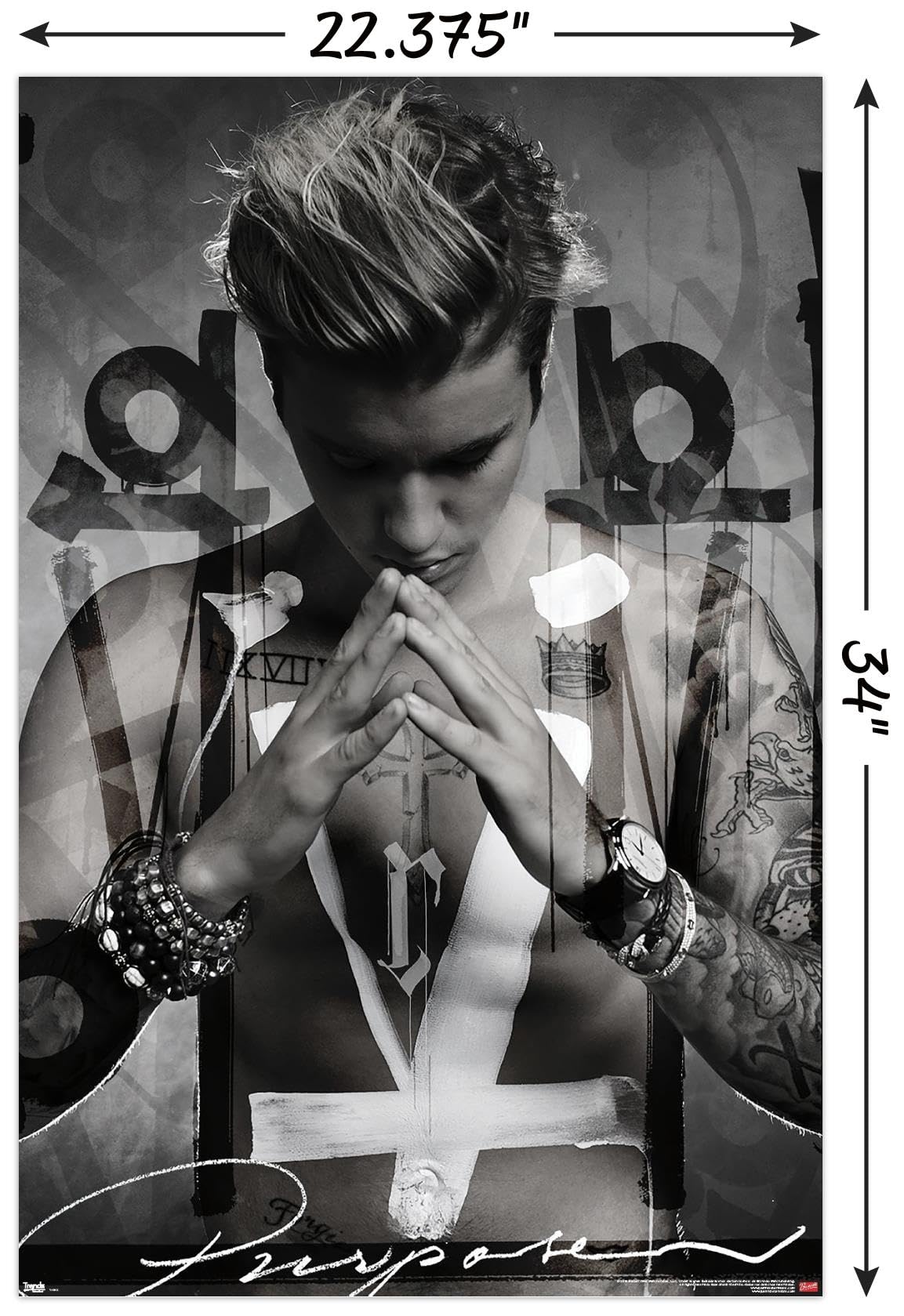 Trends International Justin Bieber - Purpose Wall Poster, 34L x 22.4W, Poster & Clip Bundle