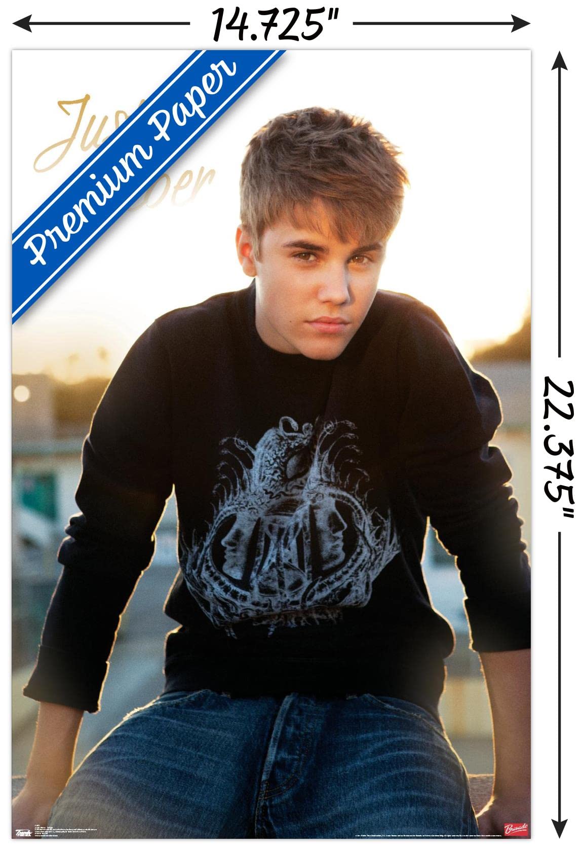 Trends International Justin Bieber - Twilight Wall Poster, 14.725" x 22.375", Premium Unframed Version