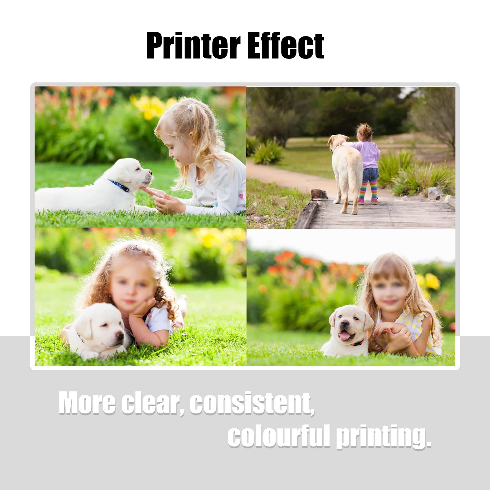 NoahArk 4 Packs 212XL Remanufactured Ink Cartridges Replacement for Epson 212 T212XL High Yield for Workforce WF-2830 WF-2850 Expression Home XP-4100 XP-4105 Printer(Black/Cyan/Magenta/Yellow, 4-Pack)