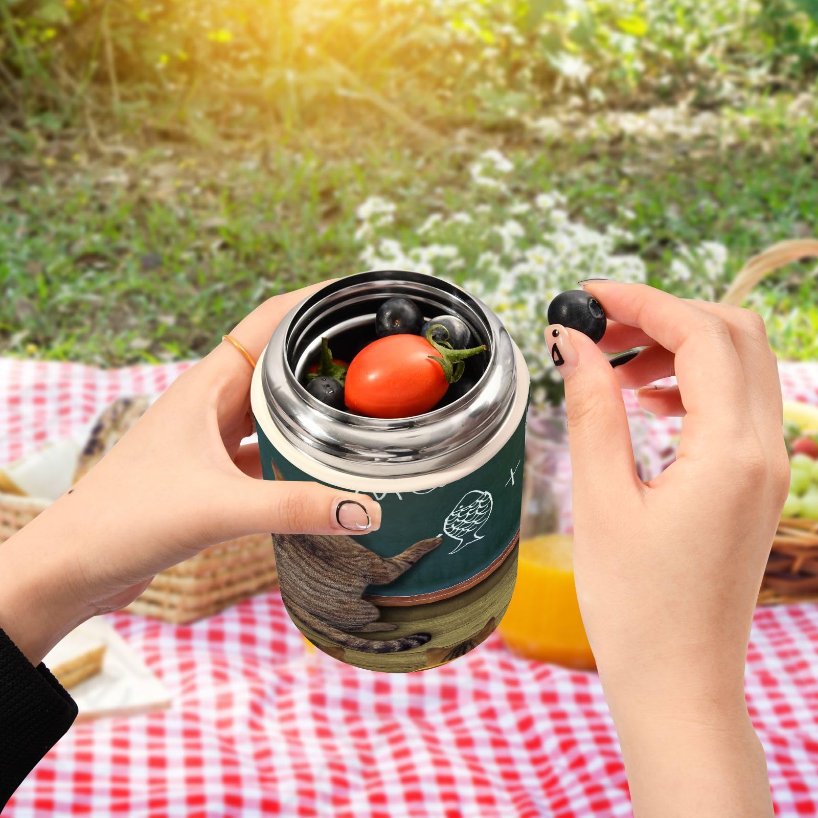 CUPADA Funny Cat Teacher Food Jar, Math Lesson Insulated Hot Food Jars Vacuum 17OZ with Folding Spoon for Work Trip Picnic Camping
