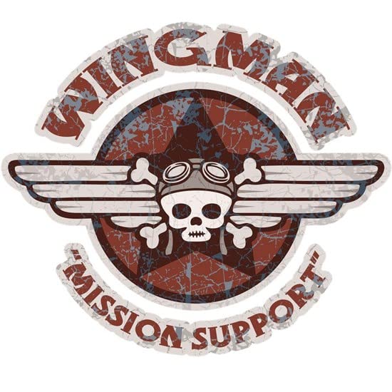 CafePress Pirate Pilot Wingman Mug Ceramic Coffee Mug, Tea Cup 11 oz