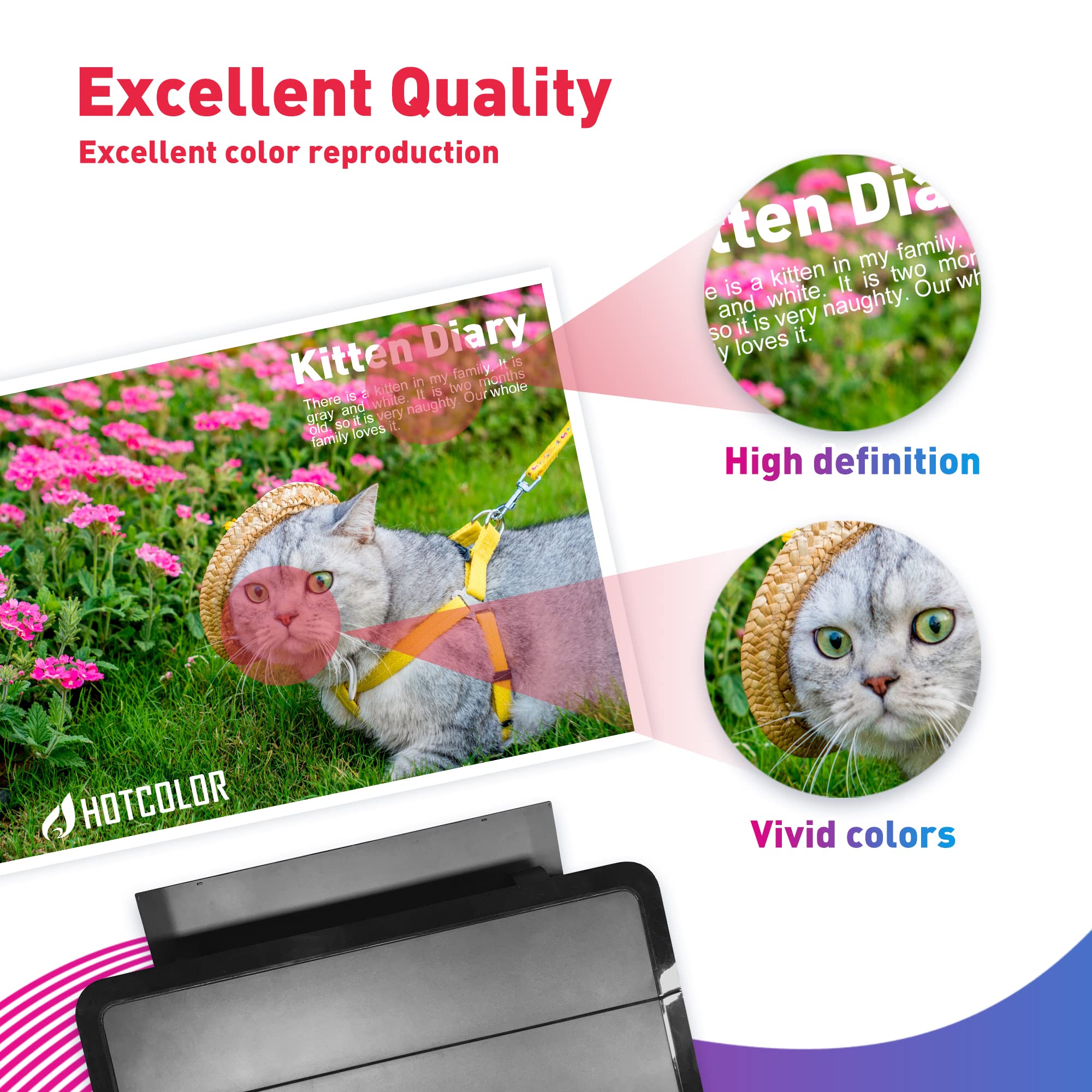 802XL T802XL Ink Cartridge Replacement for Epson 802 Ink cartridges Combo Pack for Epson Workforce Pro WF-4720 WF-4730 WF-4734 WF-4740 EC-4020 EC-4030 EC-4040 (Black/Cyan/Magenta/Yellow, 4PK)