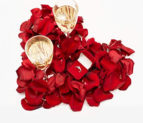 kortes I Love You Balloons and Heart Balloons Kit with Rose Petals, Valentines Day Decorations for Party