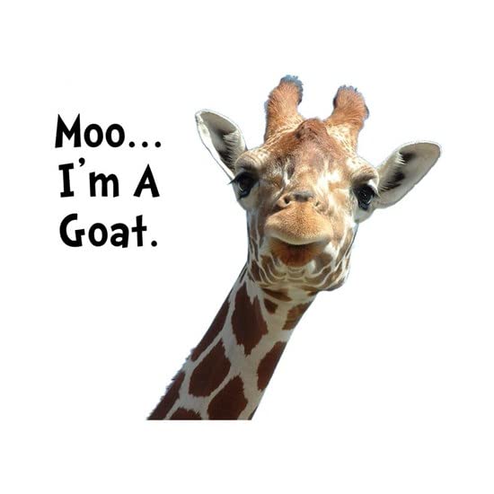 CafePress Moo Giraffe Goat Mug Ceramic Coffee Mug, Tea Cup 11 oz