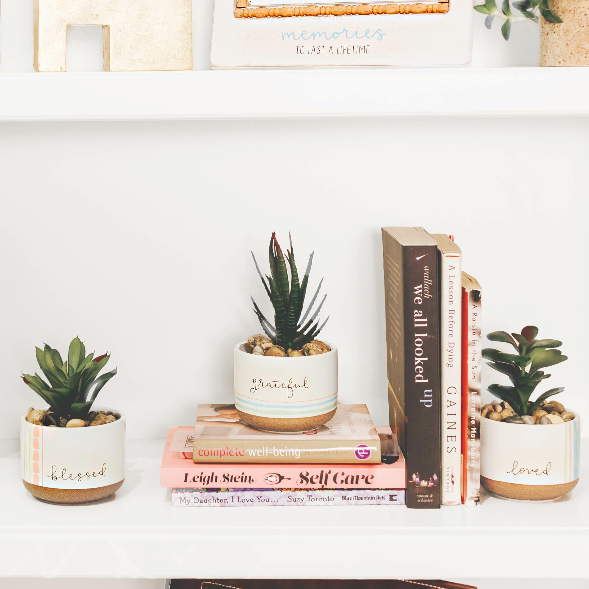 Pavilion Gift Company - Grateful - Artificial Plant with Stones, Mini Fake Aloe Plant, 1 Count (Pack of 1), 3.5β x 3.5β x 6.25β Overall in Size