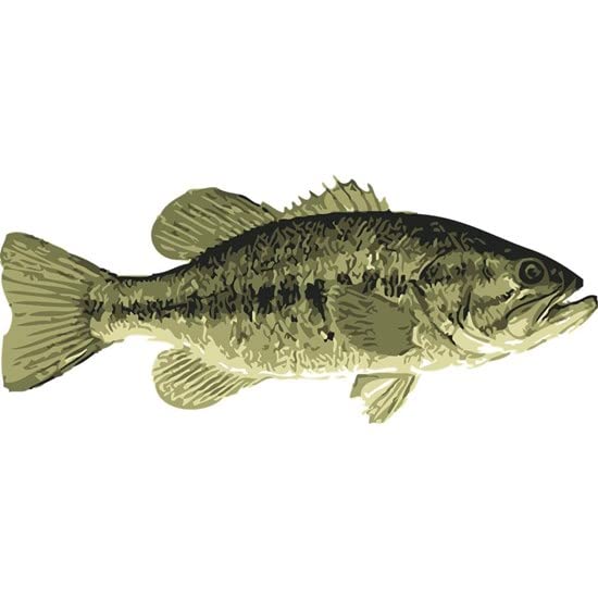 CafePress Largemouth Bass Mug Ceramic Coffee Mug, Tea Cup 11 oz