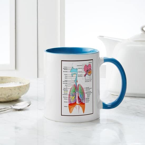 CafePress Respiratory System Mugs Ceramic Coffee Mug, Tea Cup 11 oz