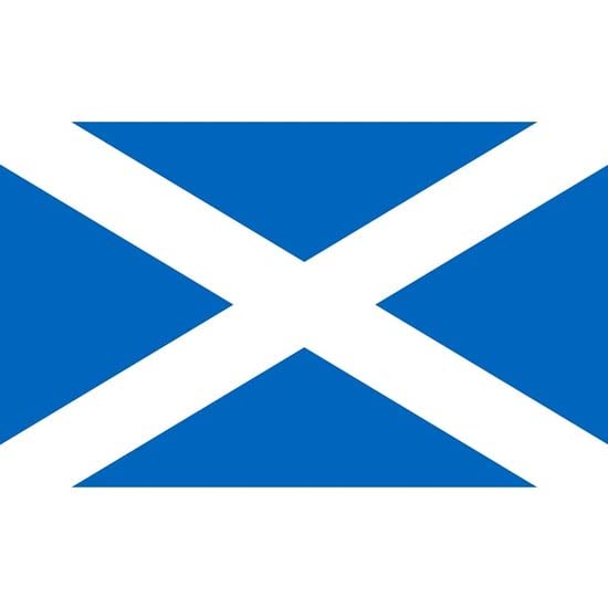 CafePress Scottish Flag Mug Ceramic Coffee Mug, Tea Cup 11 oz