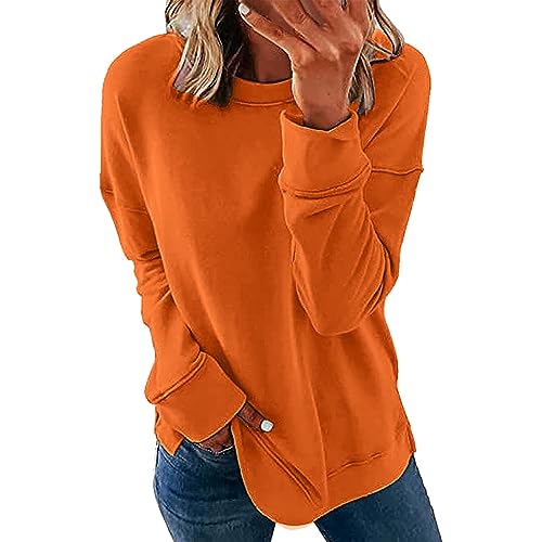 Country Concert Outfits for Women Cozy Light Pink top Swiss dot Womens Dress Pants Business Work wonens Shirts Cotton Linen Curved Hem Tops for Women Work Office Elegant Square Neck Tops for Women