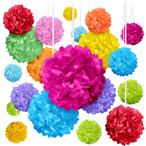 Avoseta Tissue Paper Pom Poms - 20 Piece Set - Colorful Party Decorations - Paper Flowers for Birthdays and Special Occasions (Multicolor, Assorted Sizes)