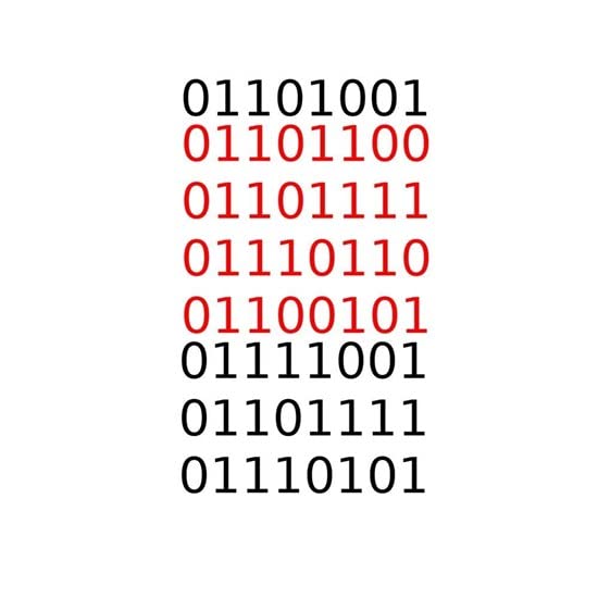 CafePress Say I Love You In Binary Code Mug Ceramic Coffee Mug, Tea Cup 11 oz
