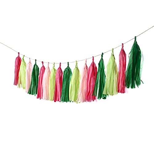 GUZON Pack of 20 Watermelon Party Tassel Garland DIY Kit Balloon Tail Tassels Melon Birthday Summer Party Decorations