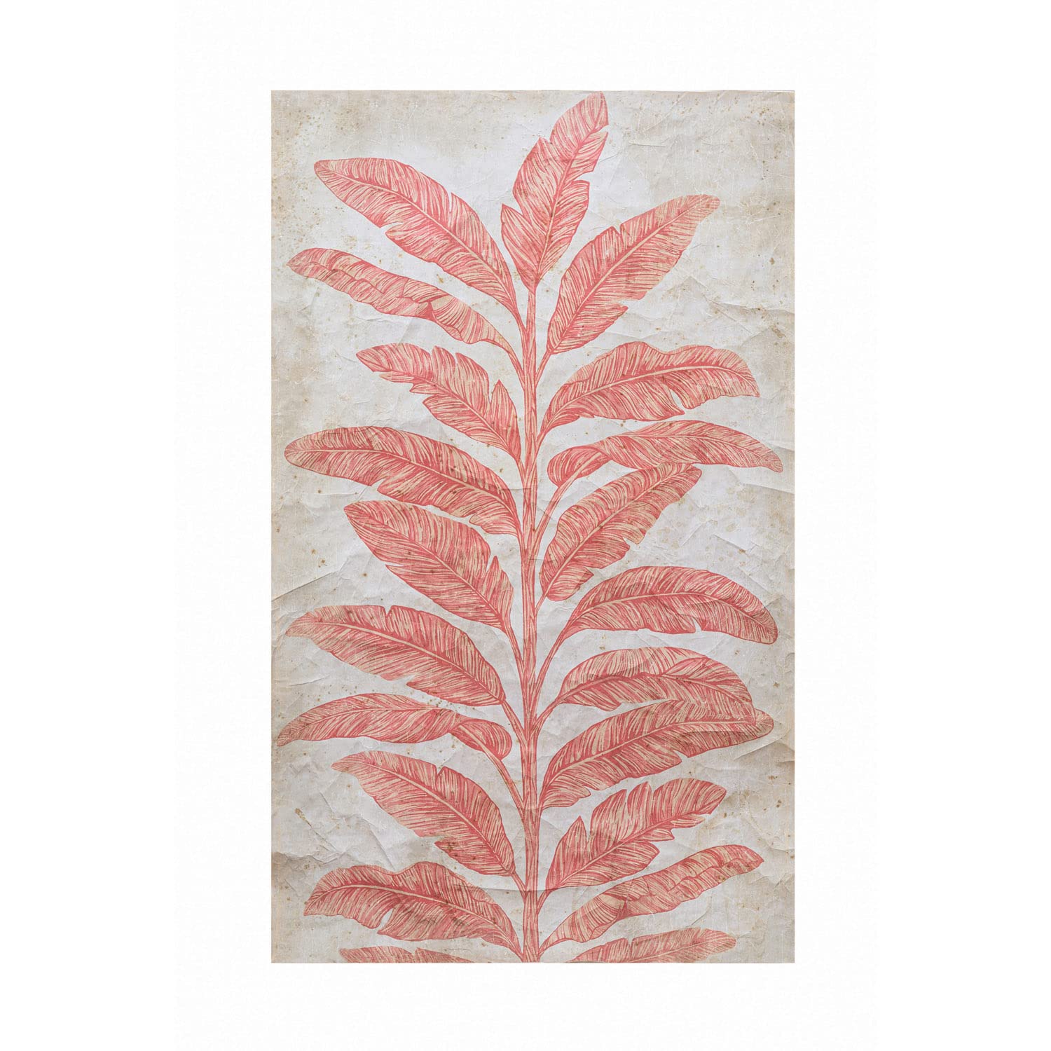 Creative Co-Op Decorator Paper with Banana Tree Print