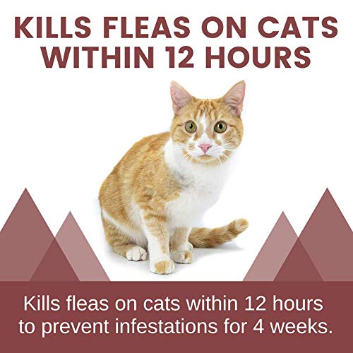 Adventure Plus Flea Prevention for Cats - Topical Flea Treatment for Cats (5-9 lbs) (Pack of 8)