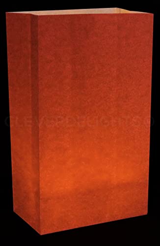 CleverDelights Red Luminary Bags - 50 Pack - Wedding Christmas Holiday Luminaria