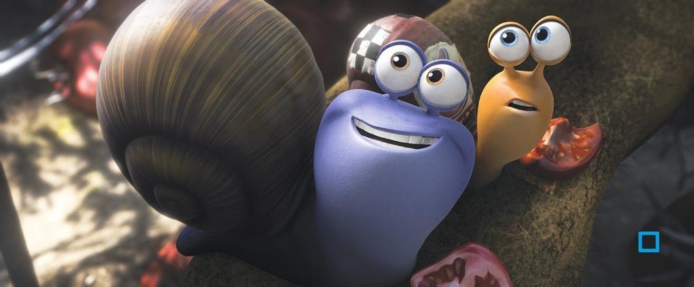 Turbo [DVD] (2013)
