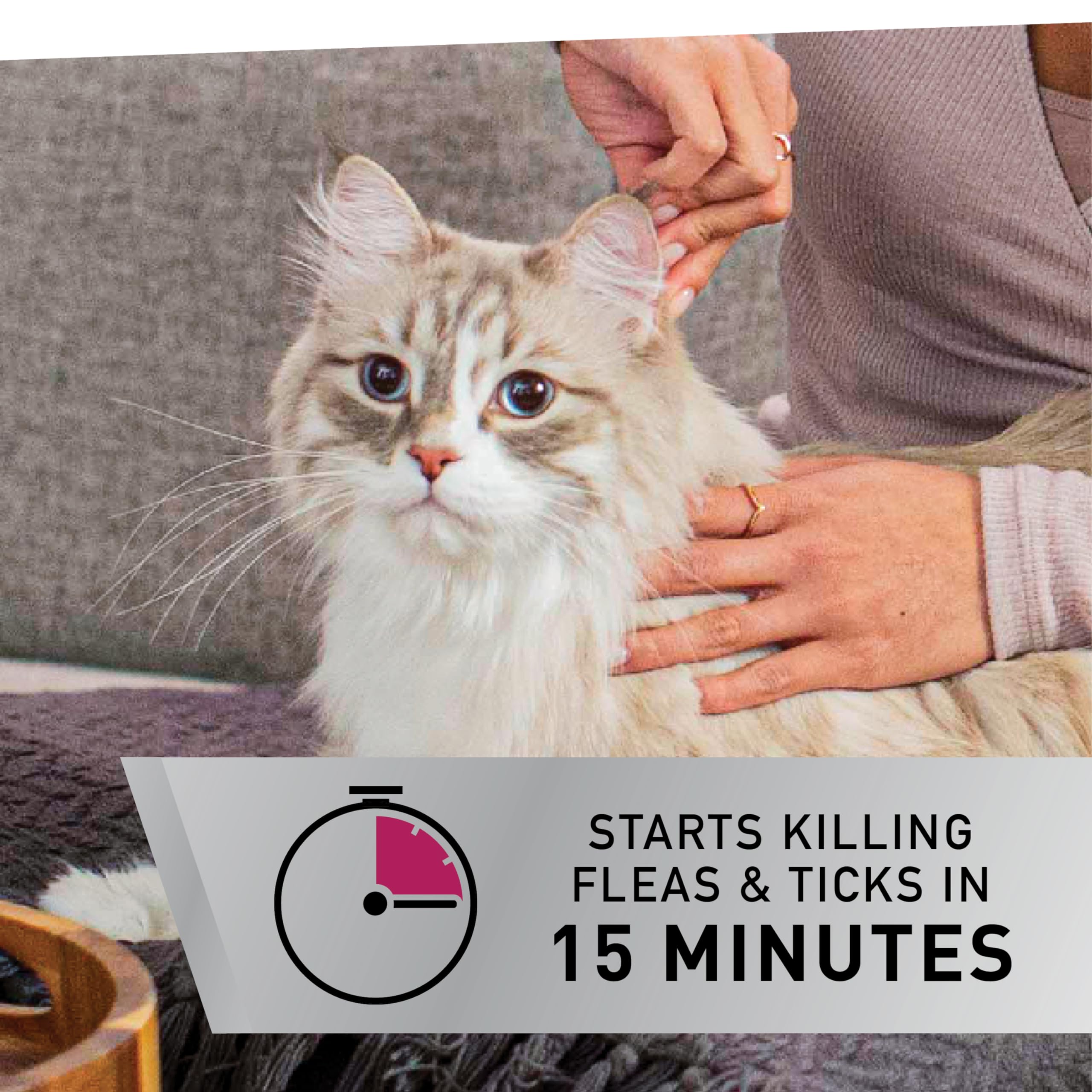 NEXTSTAR Flea and Tick Prevention for Cats, Small Cat and Kitten Treatment & Control, Fast Acting Waterproof Topical Drops, 1 Month Supply