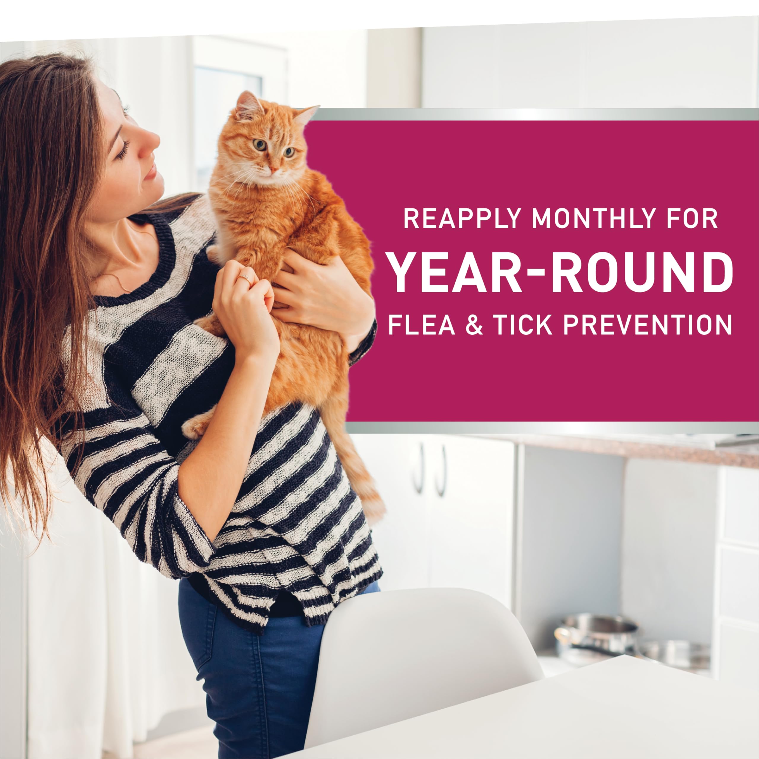 NEXTSTAR Flea and Tick Prevention for Cats, Small Cat and Kitten Treatment & Control, Fast Acting Waterproof Topical Drops, 1 Month Supply