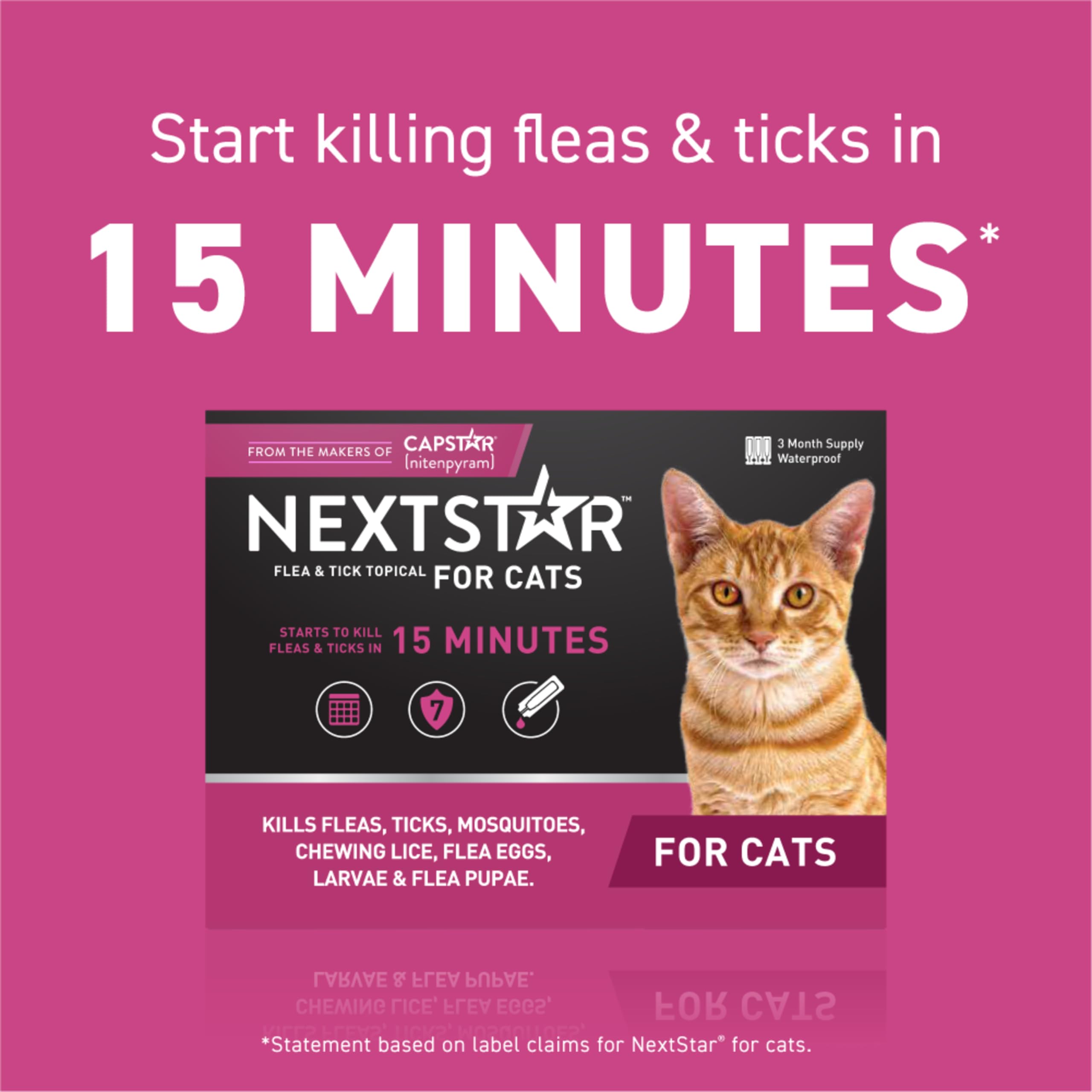 NEXTSTAR Flea and Tick Prevention for Cats, Small Cat and Kitten Treatment & Control, Fast Acting Waterproof Topical Drops, 1 Month Supply