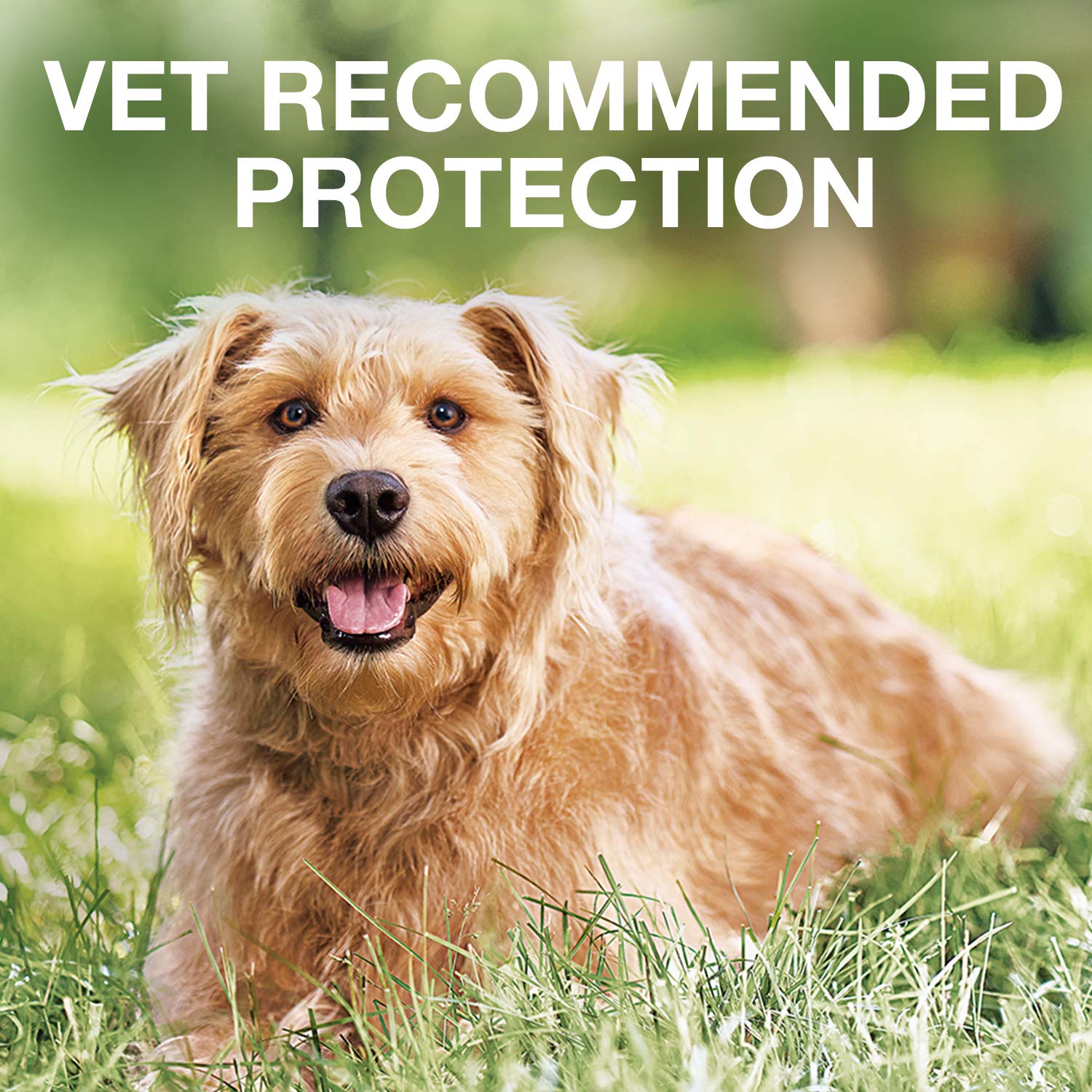 Bayer K9 Advantix II Flea and Tick Prevention for Extra-Large Dogs 4-Pack, Over 55 Pounds