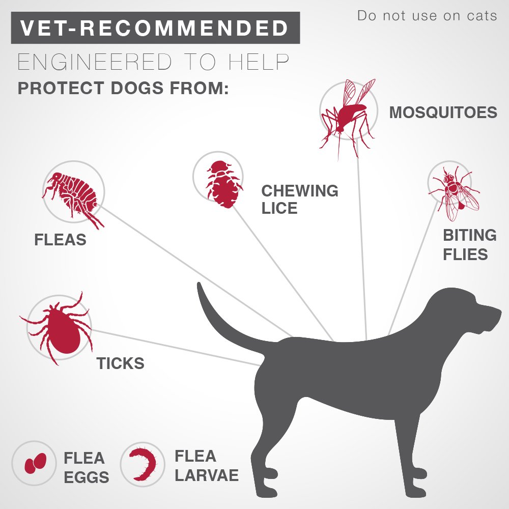 Bayer K9 Advantix II Flea and Tick Prevention for Extra-Large Dogs 4-Pack, Over 55 Pounds